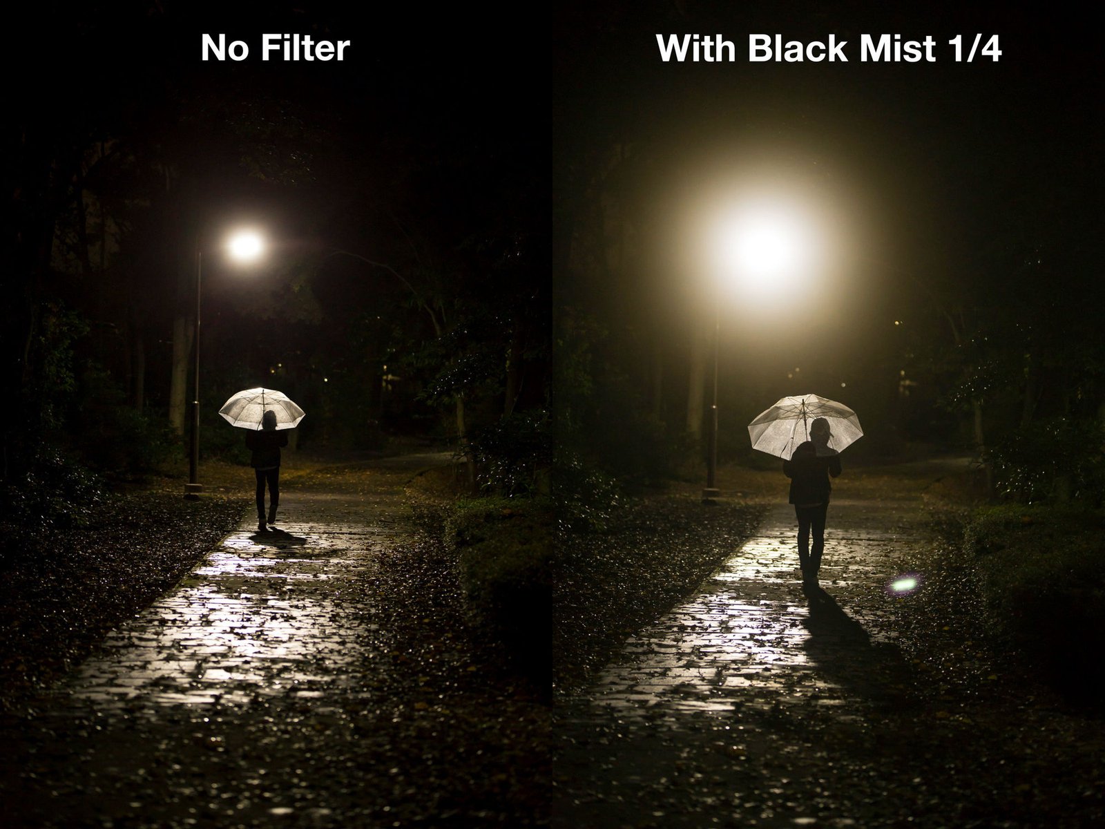 Blend aesthetics and luxury with the mist filter